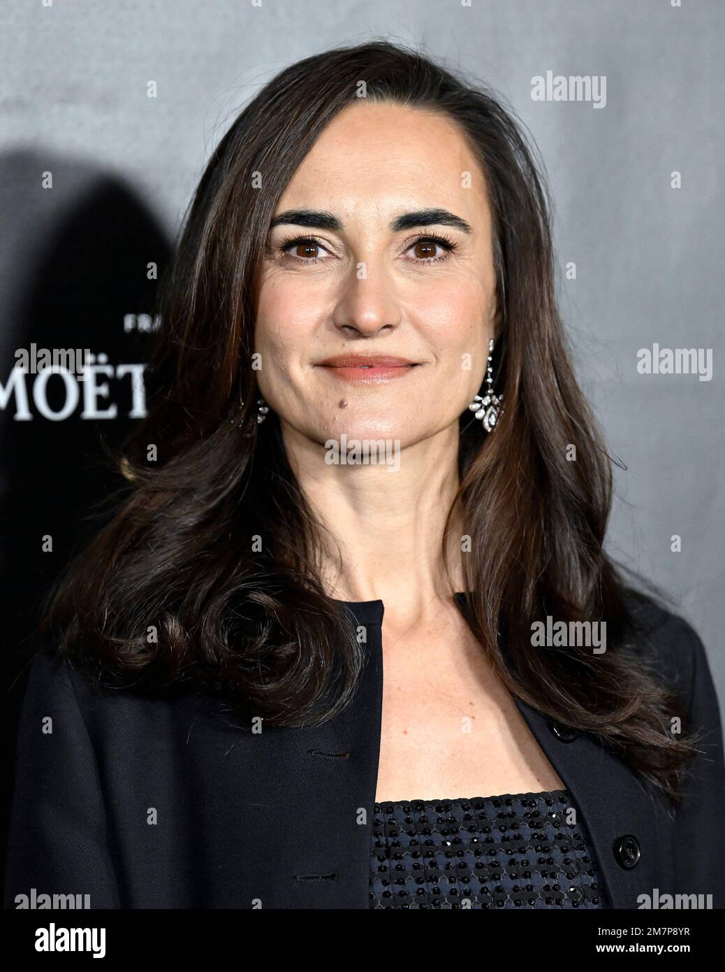 Moet & Chandon CEO Berta De Pablos-Barbier attends the Moet & Chandon ...