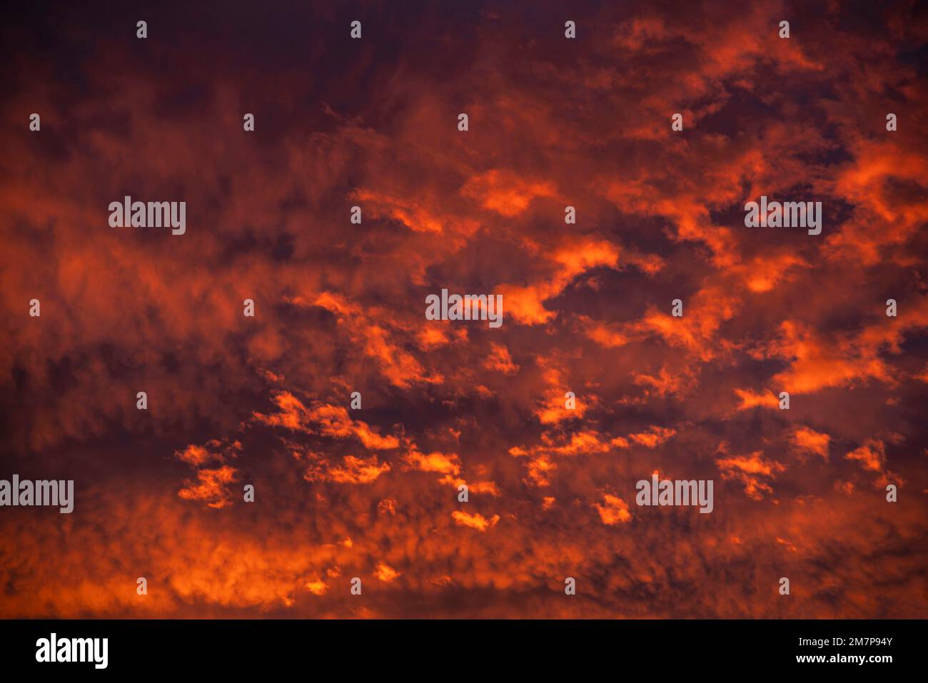 Beautiful red clouds in evening hi-res stock photography and images - Alamy