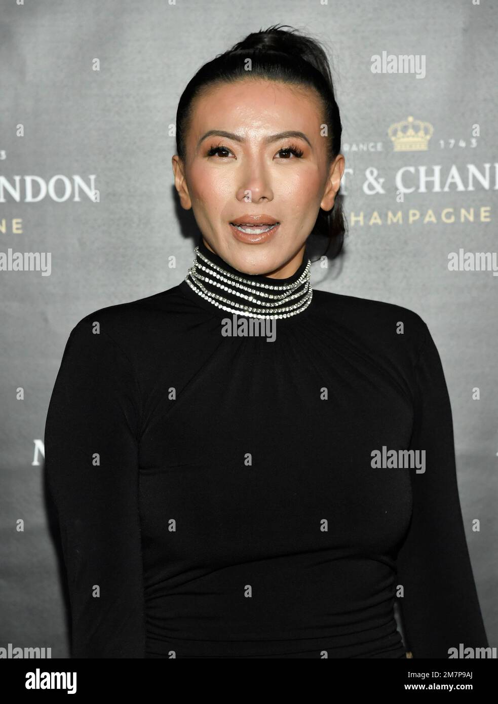 Mei Kwok attends the Moet & Chandon holiday season celebration at David ...