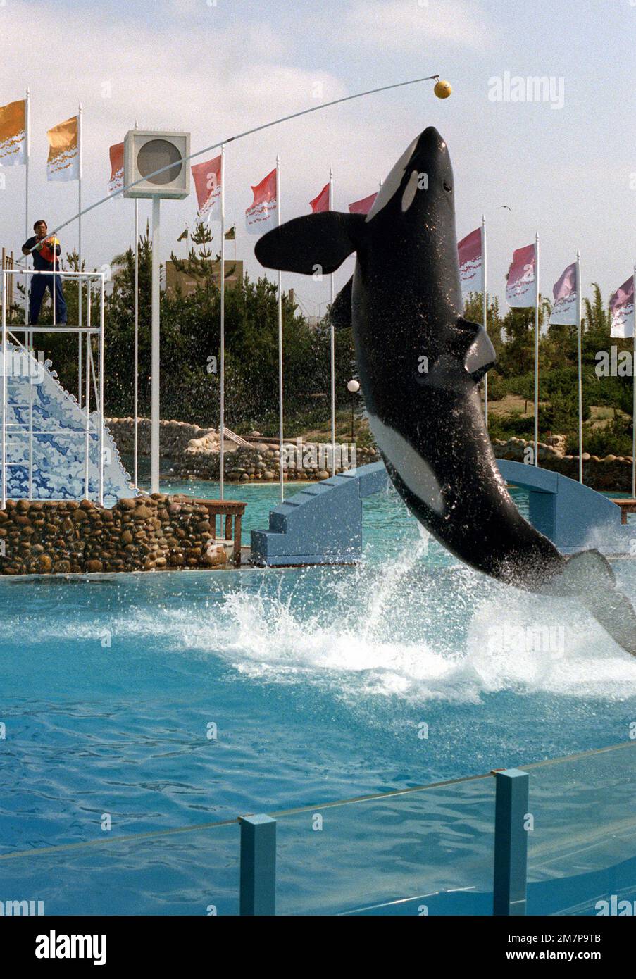 Shamu the Whale Show at Sea World. Base: San Diego State: California ...