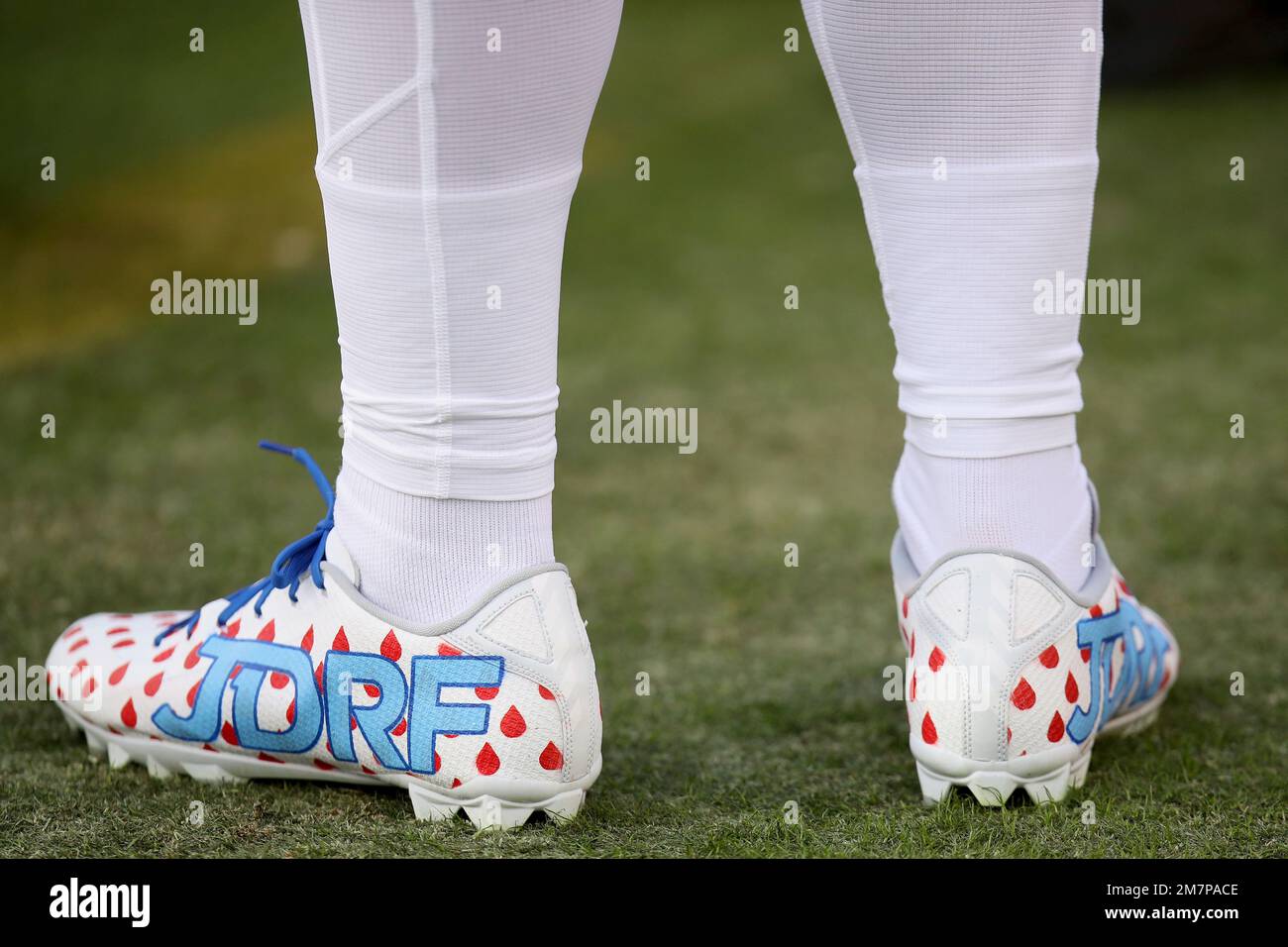 Miami Dolphins long snapper Blake Ferguson (44) stands on the sideline ...