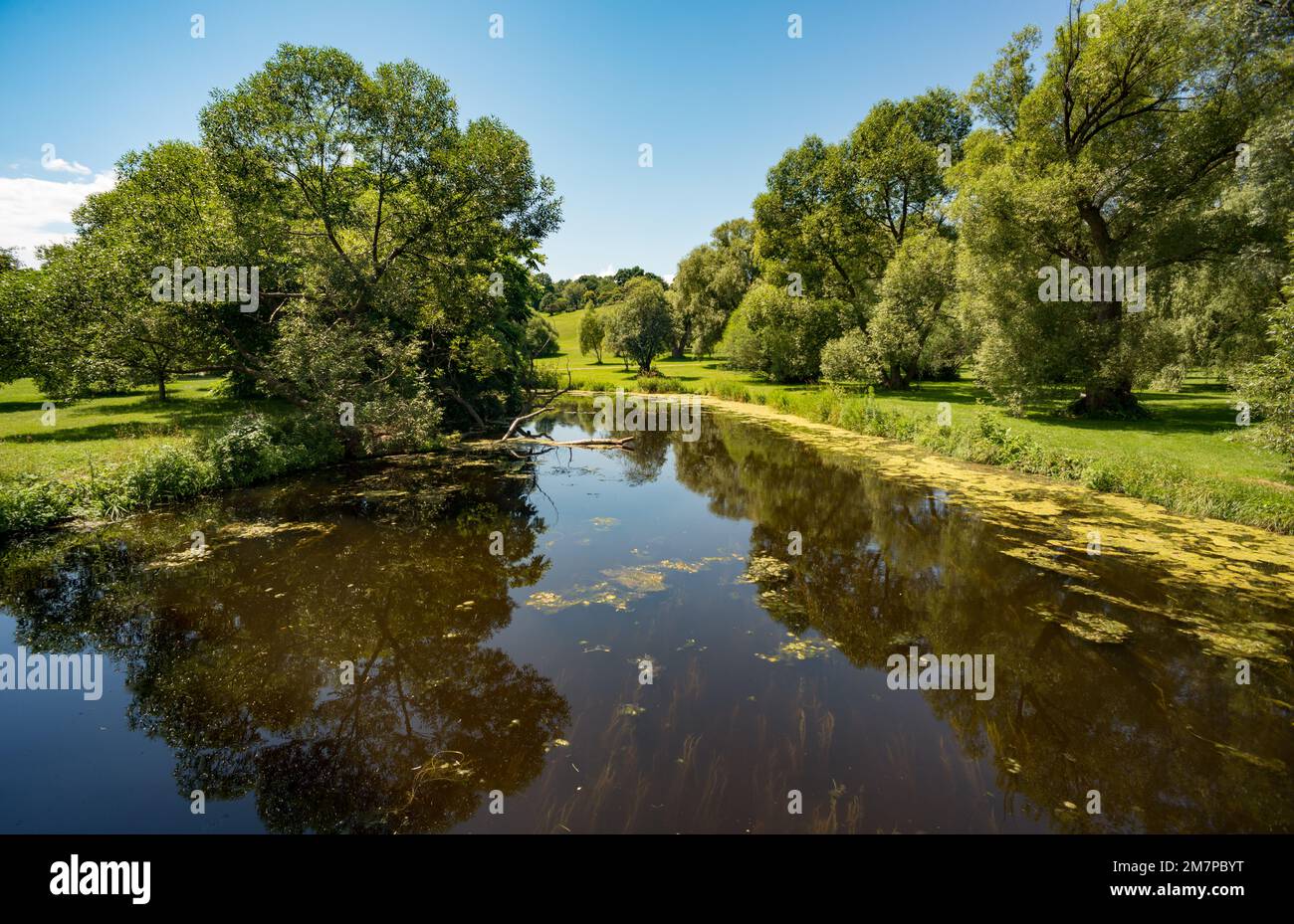 Domonion arboretum hi-res stock photography and images - Alamy