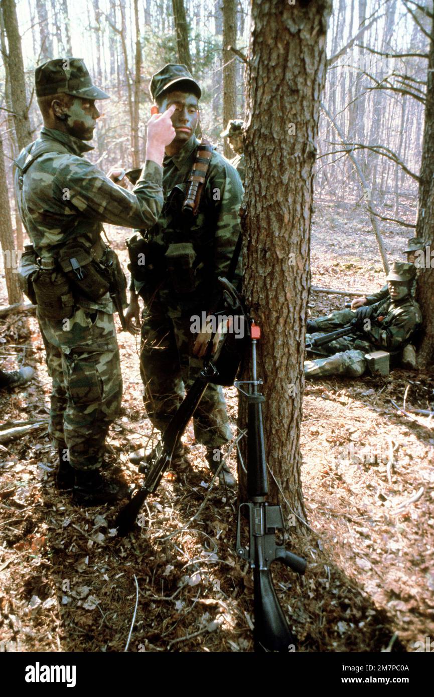 Marine leader development hi-res stock photography and images - Alamy