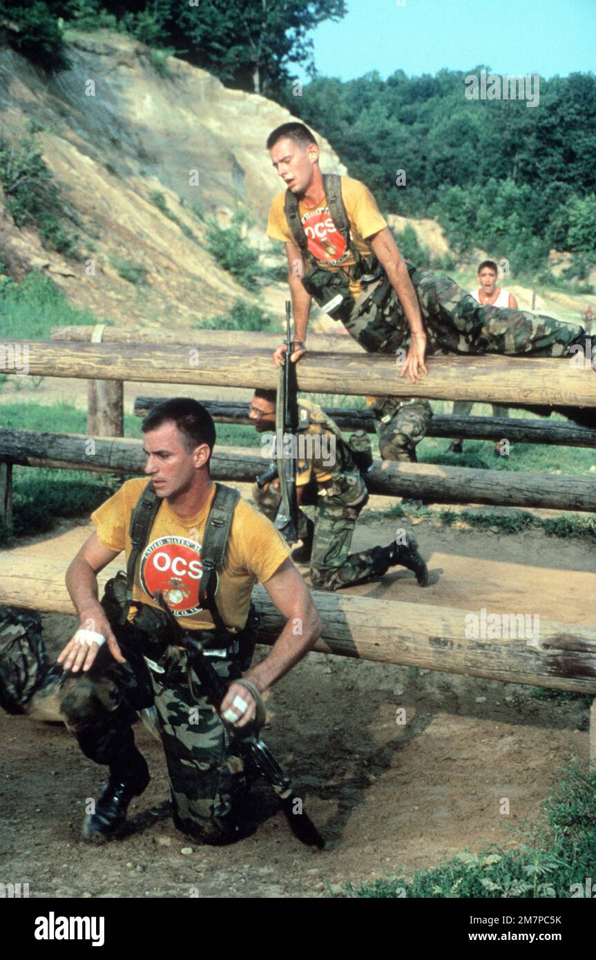 Logs obstacle course hi-res stock photography and images - Alamy