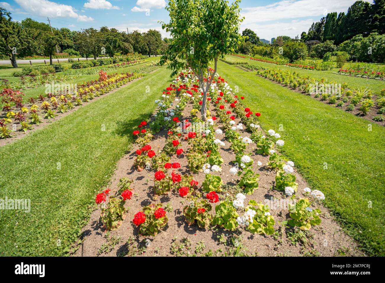 Arboretum du dominion hi-res stock photography and images - Alamy