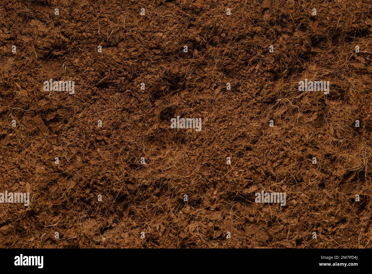 Coconut substrate background. Top view Stock Photo - Alamy