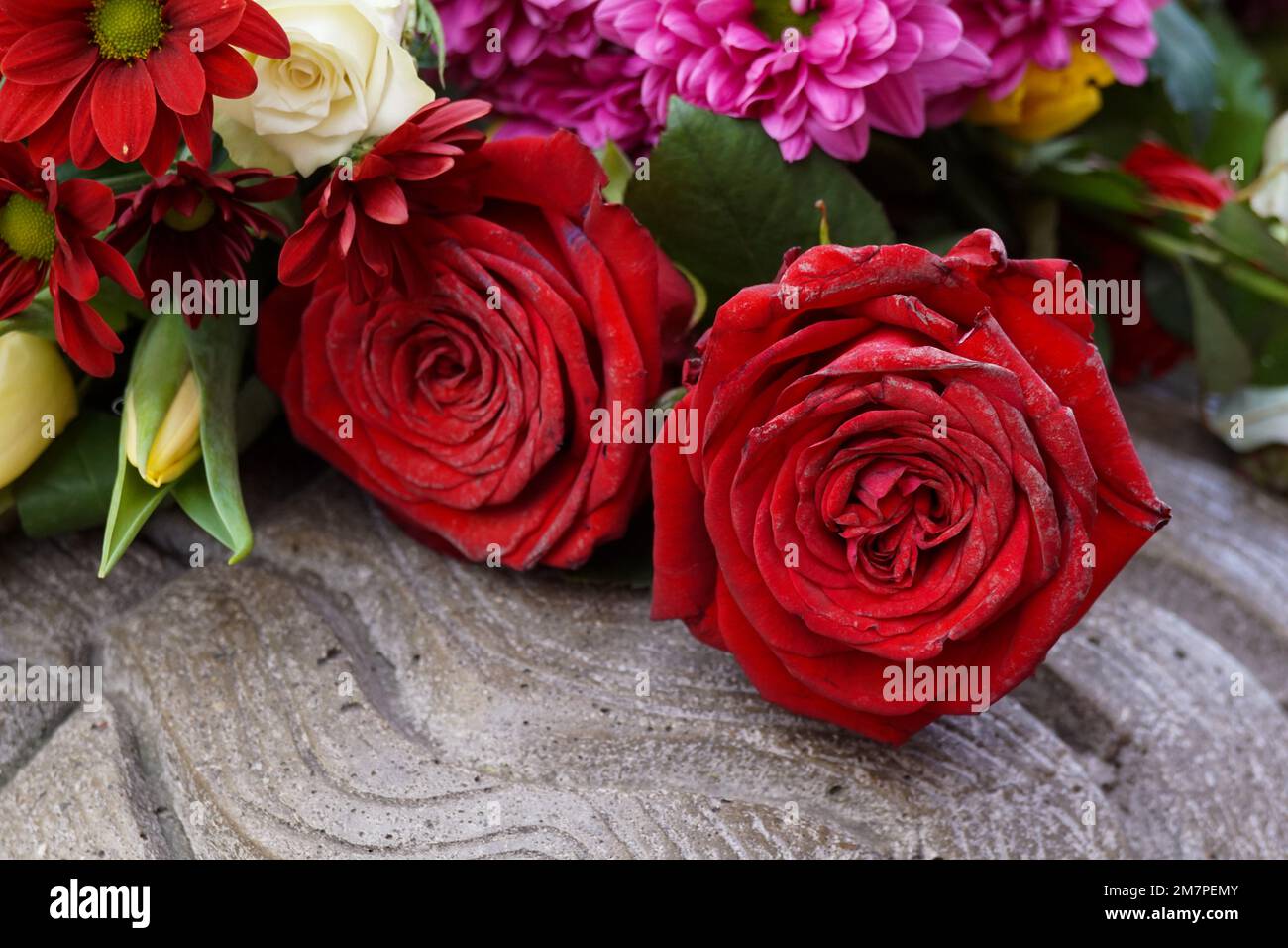 Pink roses on memorial stone hi-res stock photography and images - Alamy