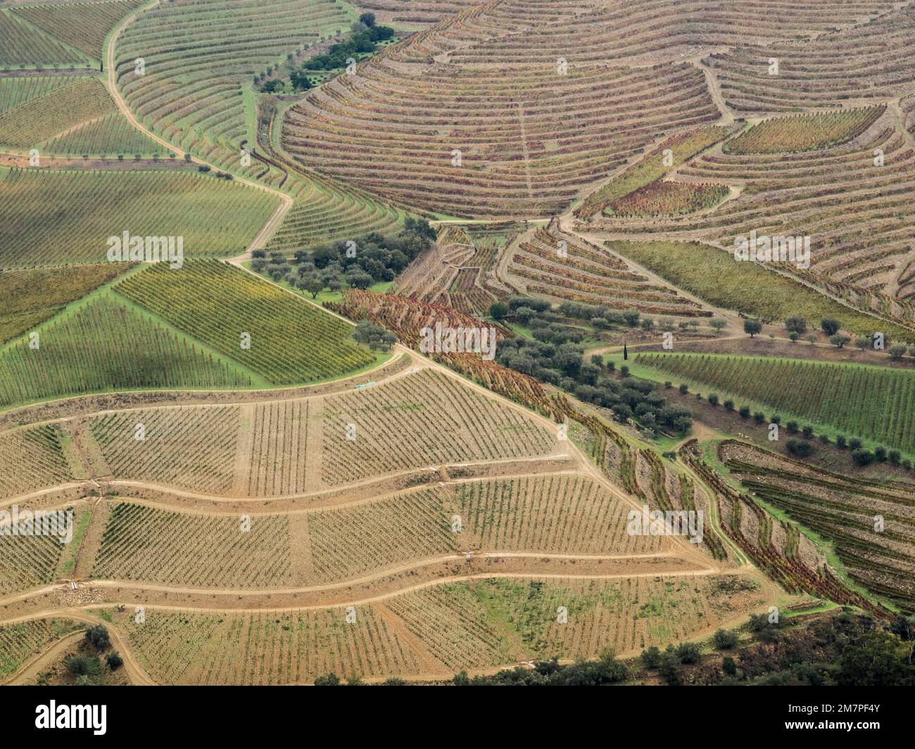 Field patterns hi-res stock photography and images - Alamy