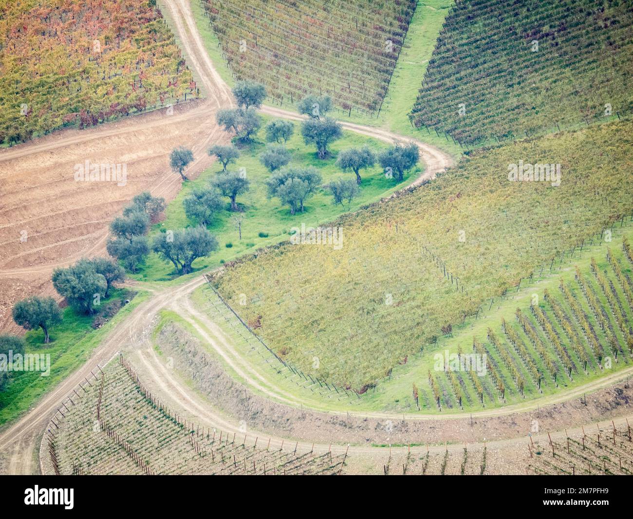 Field patterns hi-res stock photography and images - Alamy