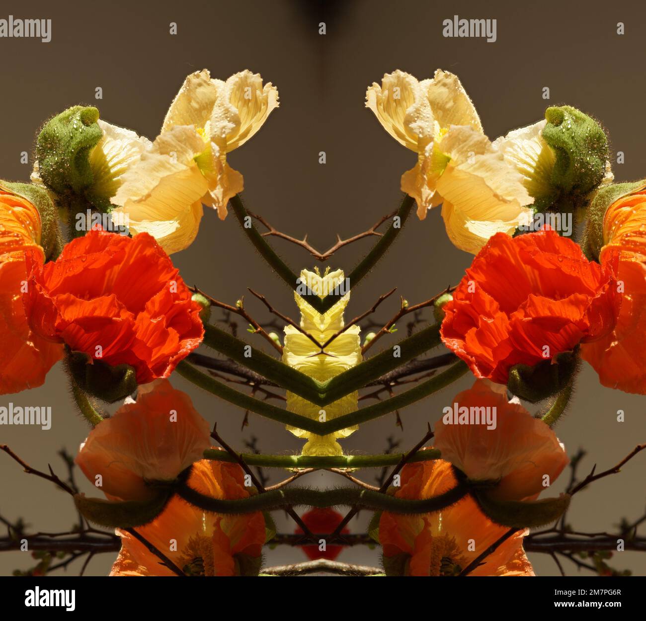 Geordnet hi-res stock photography and images - Alamy