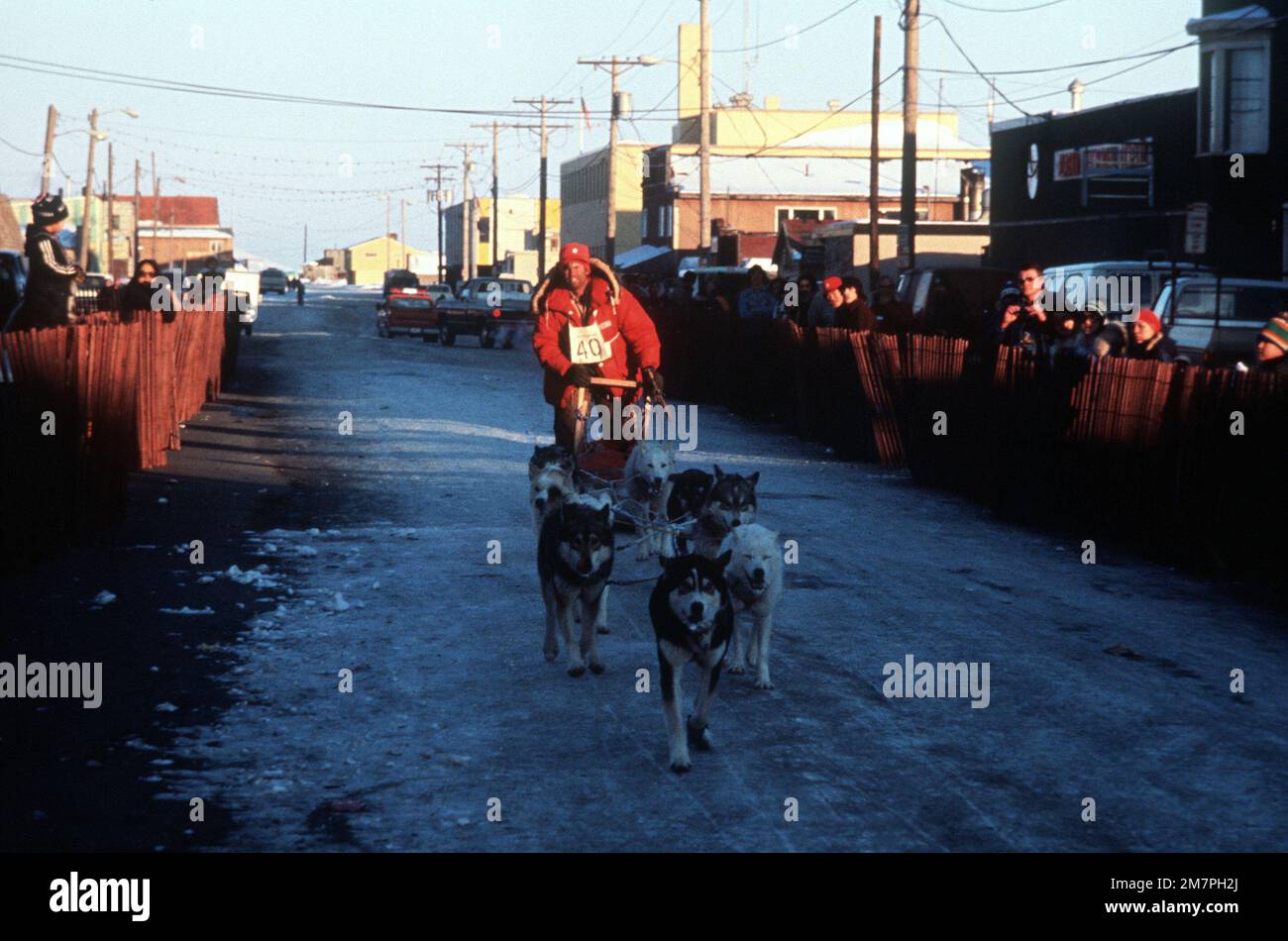 Dog sledding alaska iditarod hi-res stock photography and images - Alamy