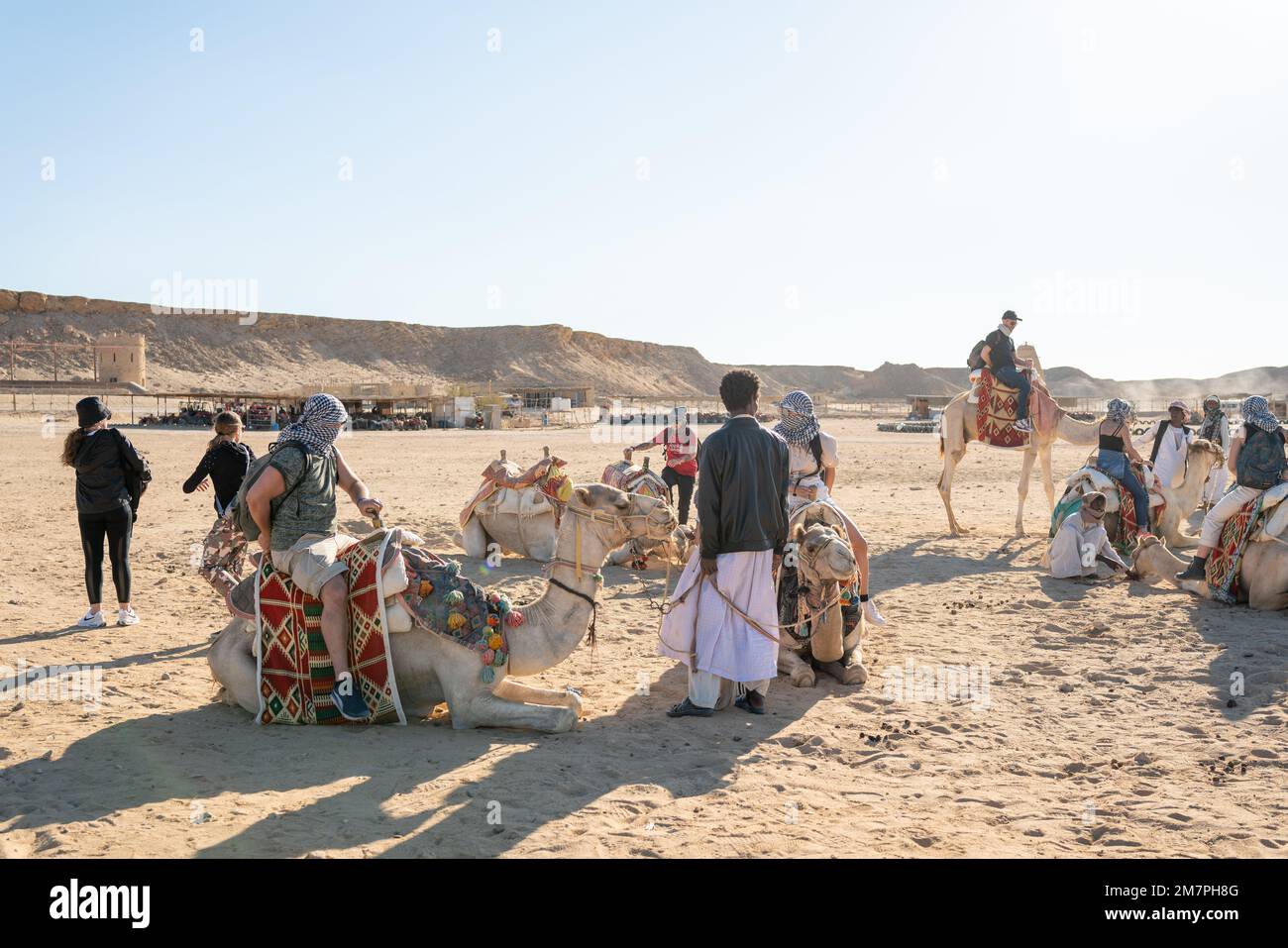 Berber camel leader hi-res stock photography and images - Alamy