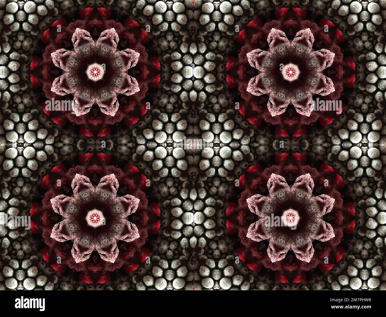 Symmetrie muster hi-res stock photography and images - Alamy