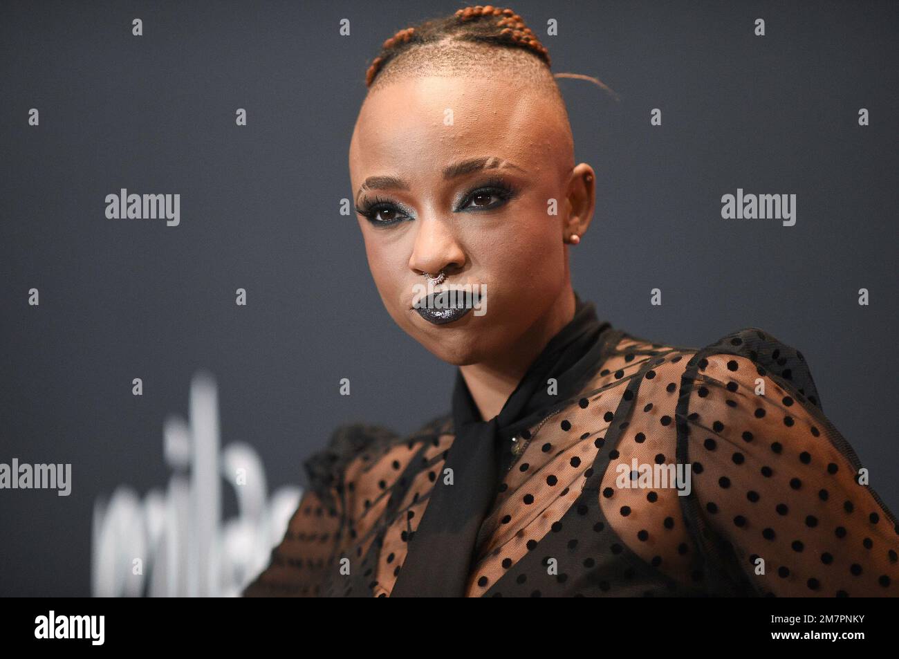 Nneka Onuorah arrives at the 5th annual Celebration of Black Cinema and Television on Monday ...