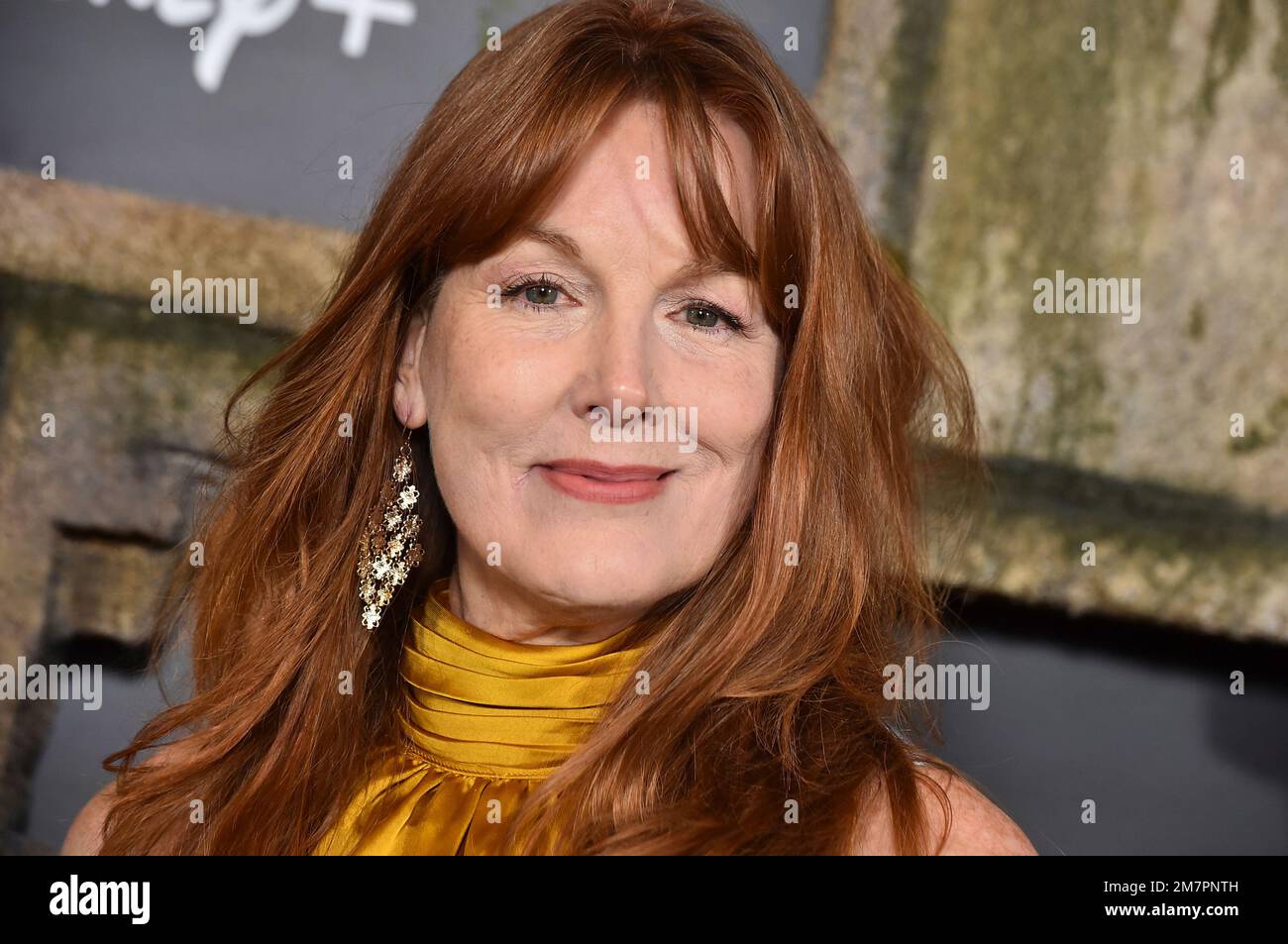 Kathleen York arrives at a red carpet event for "National Treasure ...