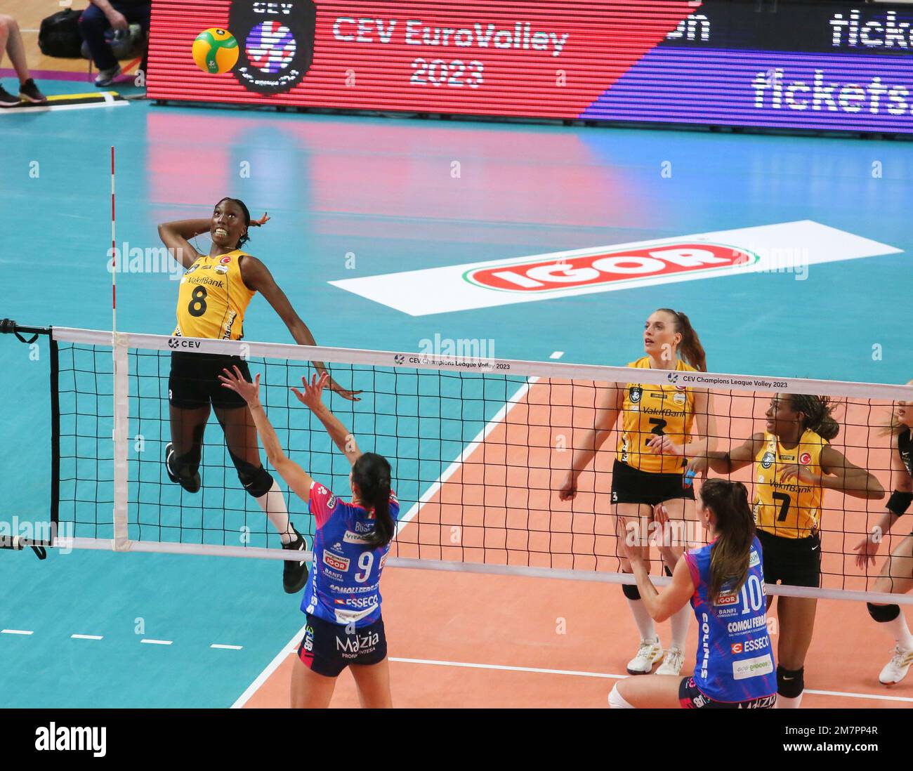 Volleyball 2023 cev meister -Fotos und -Bildmaterial in hoher Auflösung ... Volleyball 2023 cev meister -Fotos und -Bildmaterial in hoher Auflösung ...