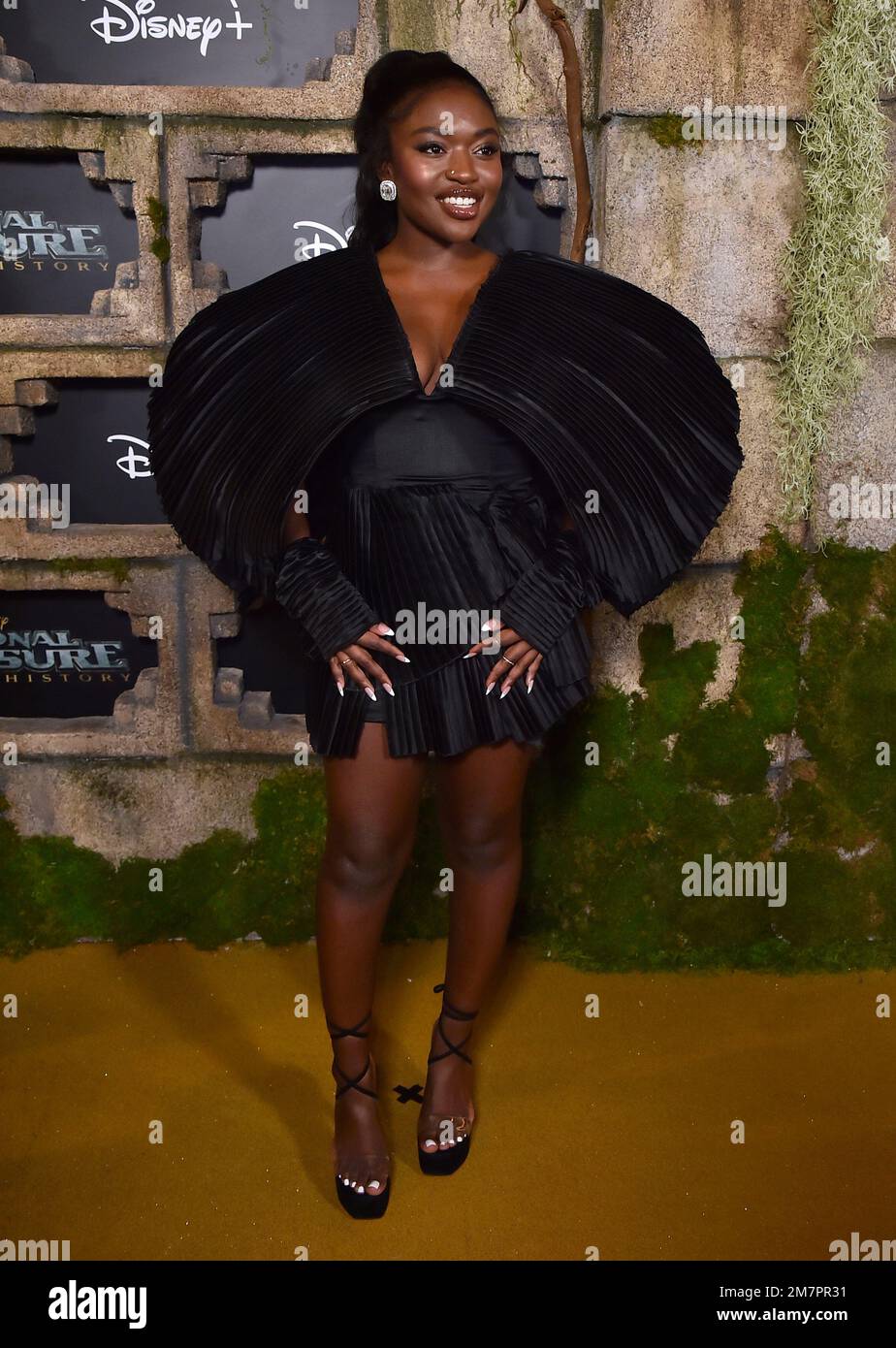 Zuri Reed arrives at a red carpet event for "National Treasure: Edge of ...