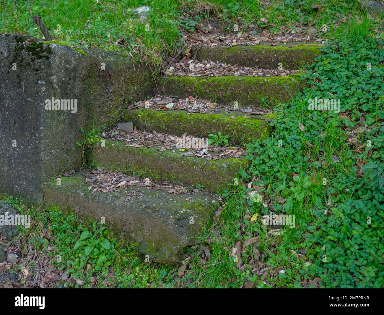 Ancient architecture. Remains of an old castle. Fortification building ...