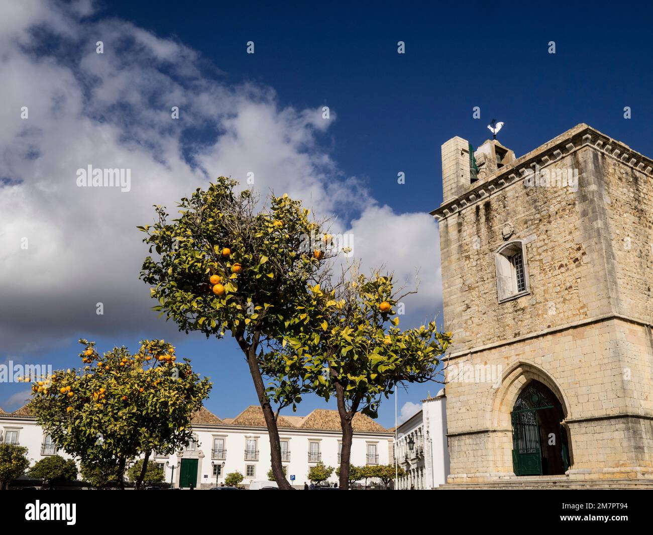 Orange trees by Cathedral (Se), Old Town, Faro, Portugal, Europe Stock ...