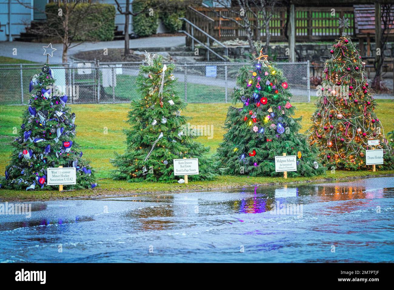 King Tide crosses oceanside path and encroaches on Christmas Trees ...