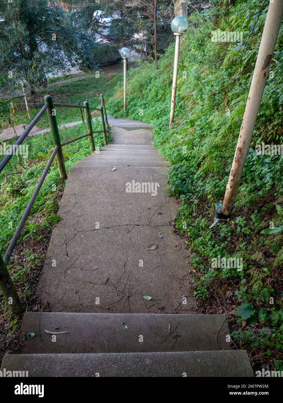 Architecture in the park. Staircase among the trees. Stairs in the ...