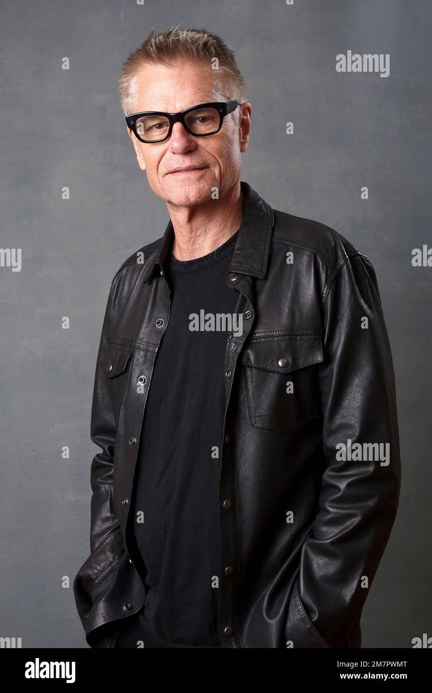 Harry Hamlin, a cast member in the AMC television series "Mayfair ...