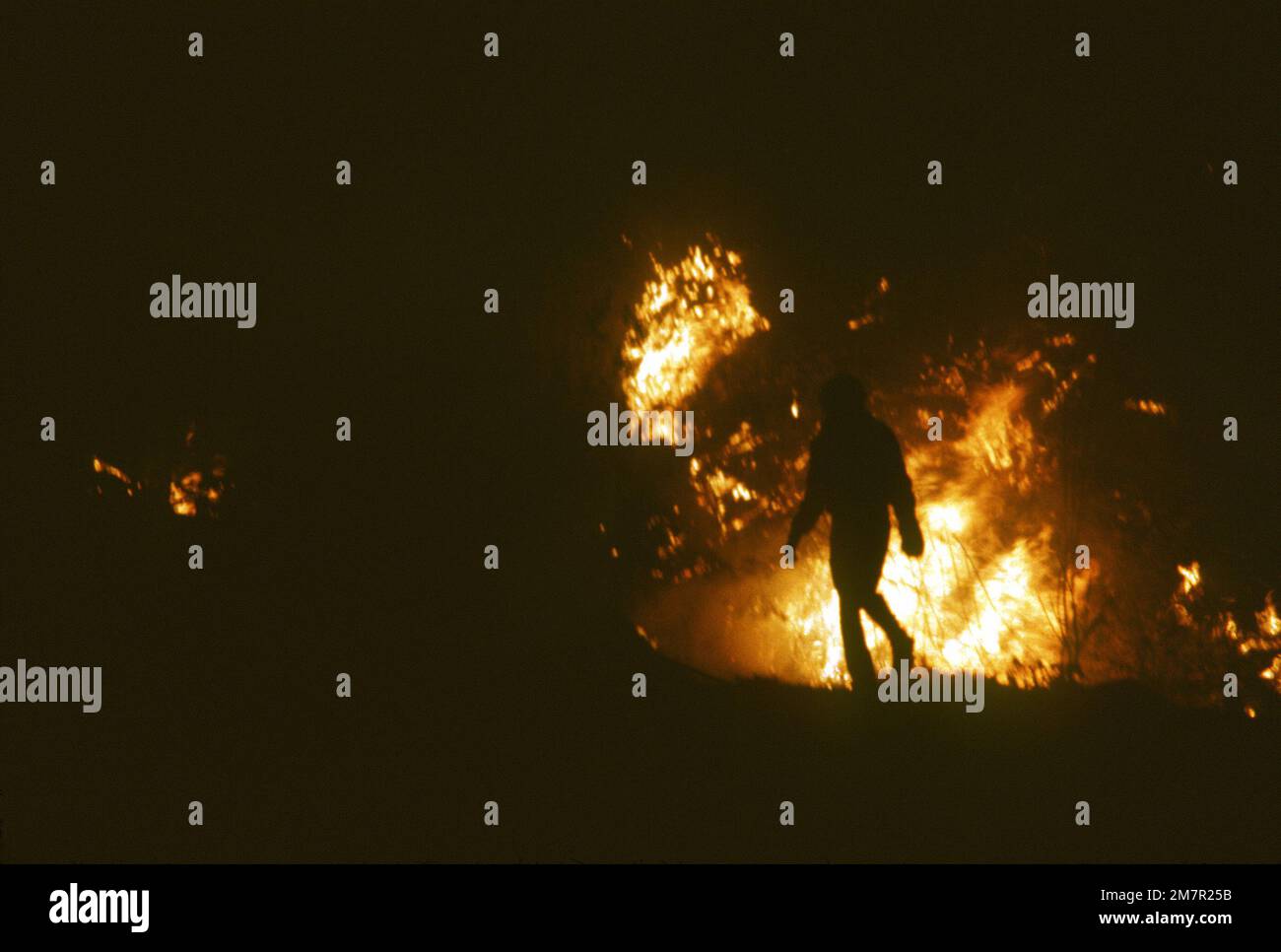 Night view of a firefighter silhouetted against a raging fire during ...