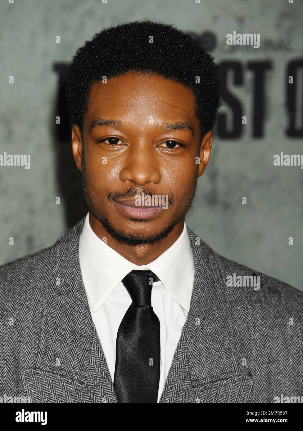 Los Angeles, California, USA. 09th Jan, 2023. Lamar Johnson attends the Los Angeles Premiere of ...