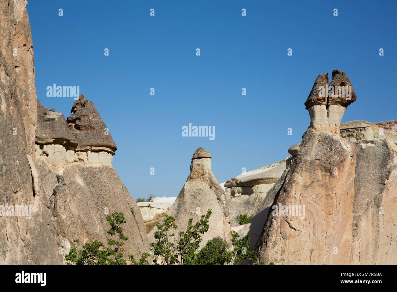 Fairy Chimneys, Pasabag Valley (Monks Valley), Nevsehir Province ...