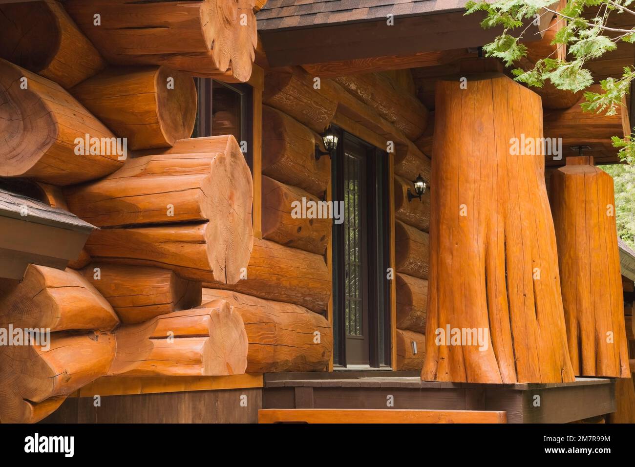 Handcrafted red cedar log home facade with steps and portico in summer ...