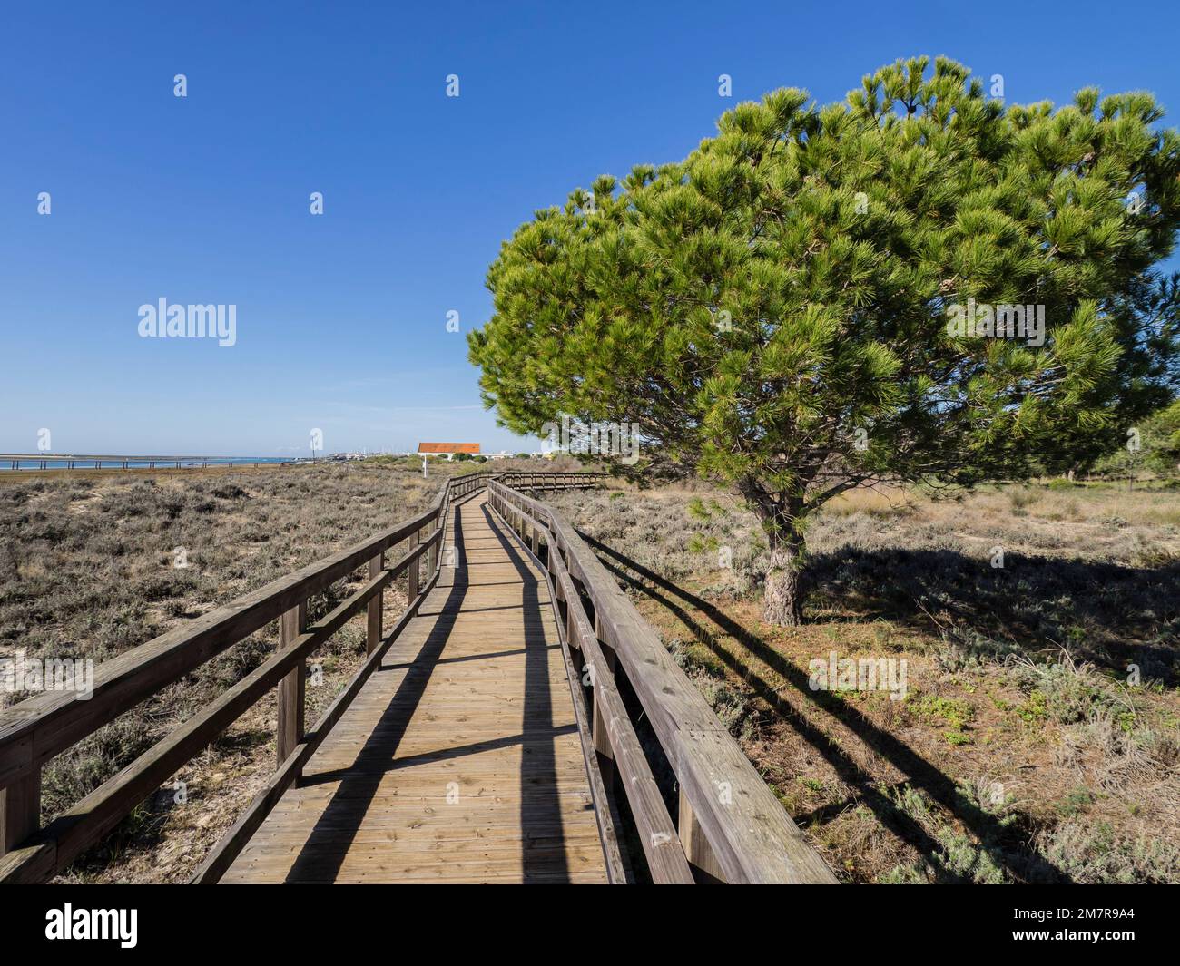 Boardwalk, Parque Natural da Ria Formosa, near Faro, Algarve, Portugal ...