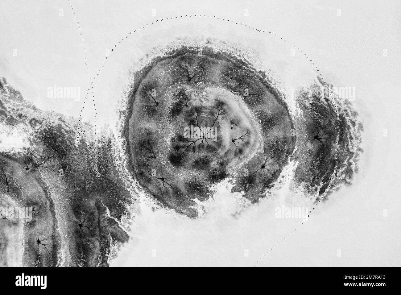 Drone view. Abstract forms created on surface of freezing lake, traces ...