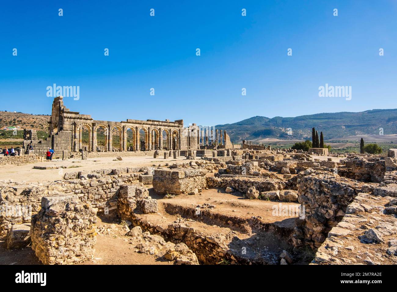 Well-preserved roman ruins in Volubilis, Fez Meknes area, Morocco ...
