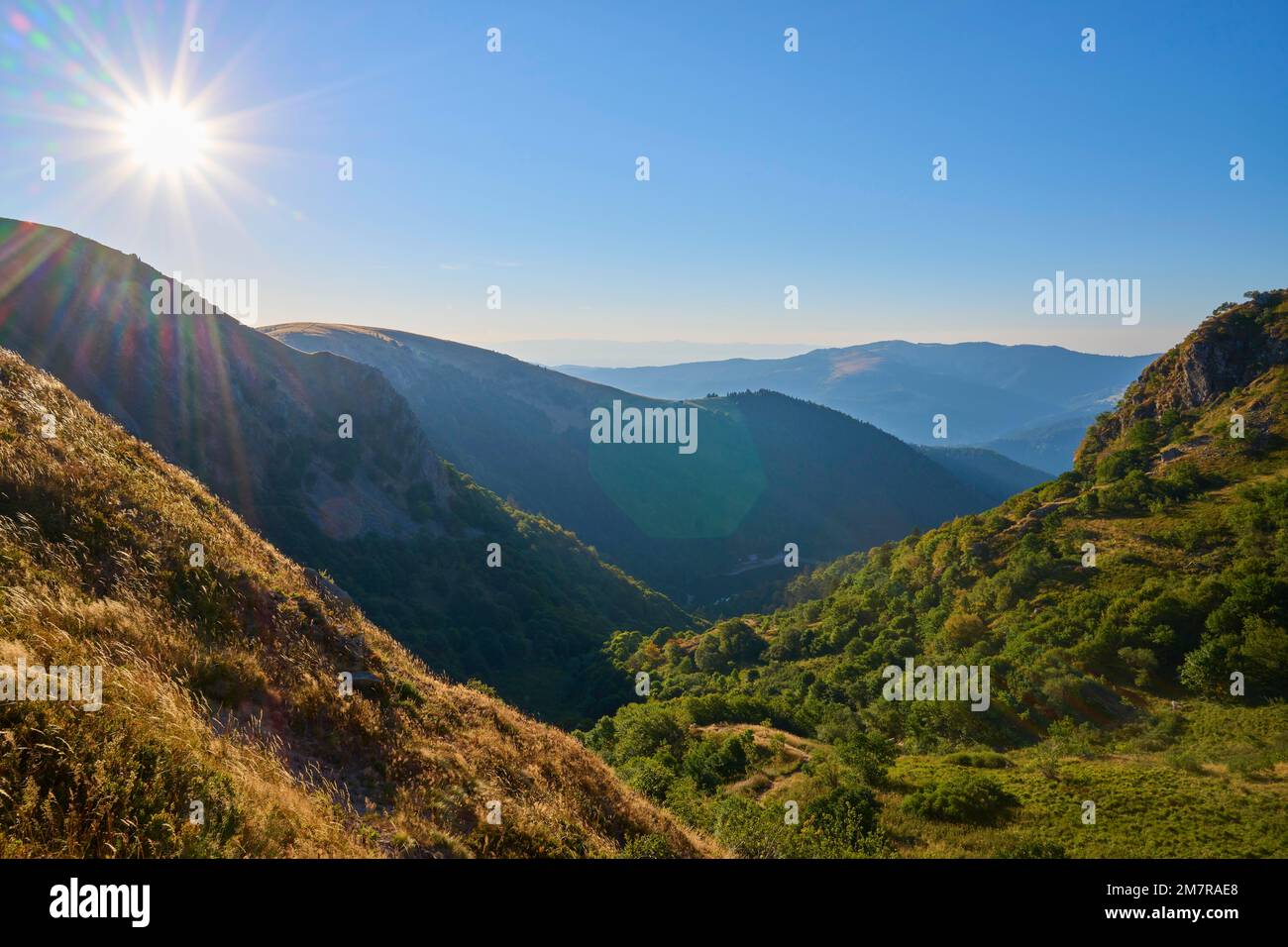 Mountain range, Bergkam, Tomorrow, Sun, Summer, Hohneck, La Bresse ...