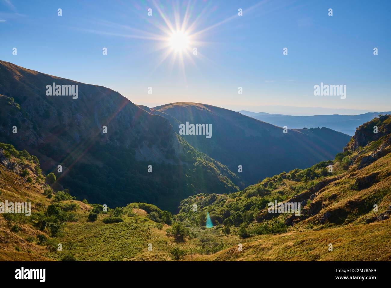 Mountain range, Bergkam, Tomorrow, Sun, Summer, Hohneck, La Bresse ...