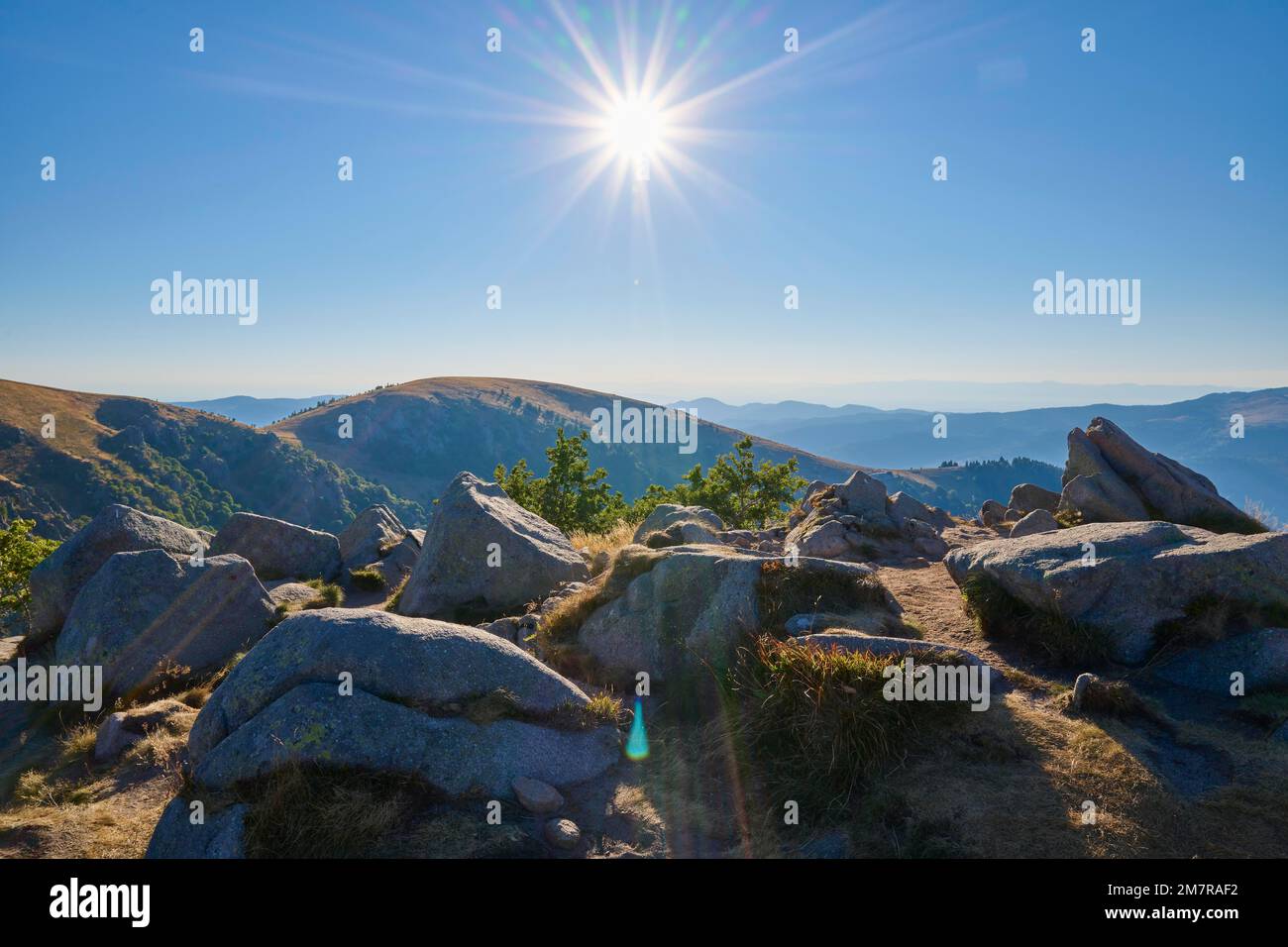 Mountain range, Bergkam, Tomorrow, Sun, Summer, Hohneck, La Bresse ...