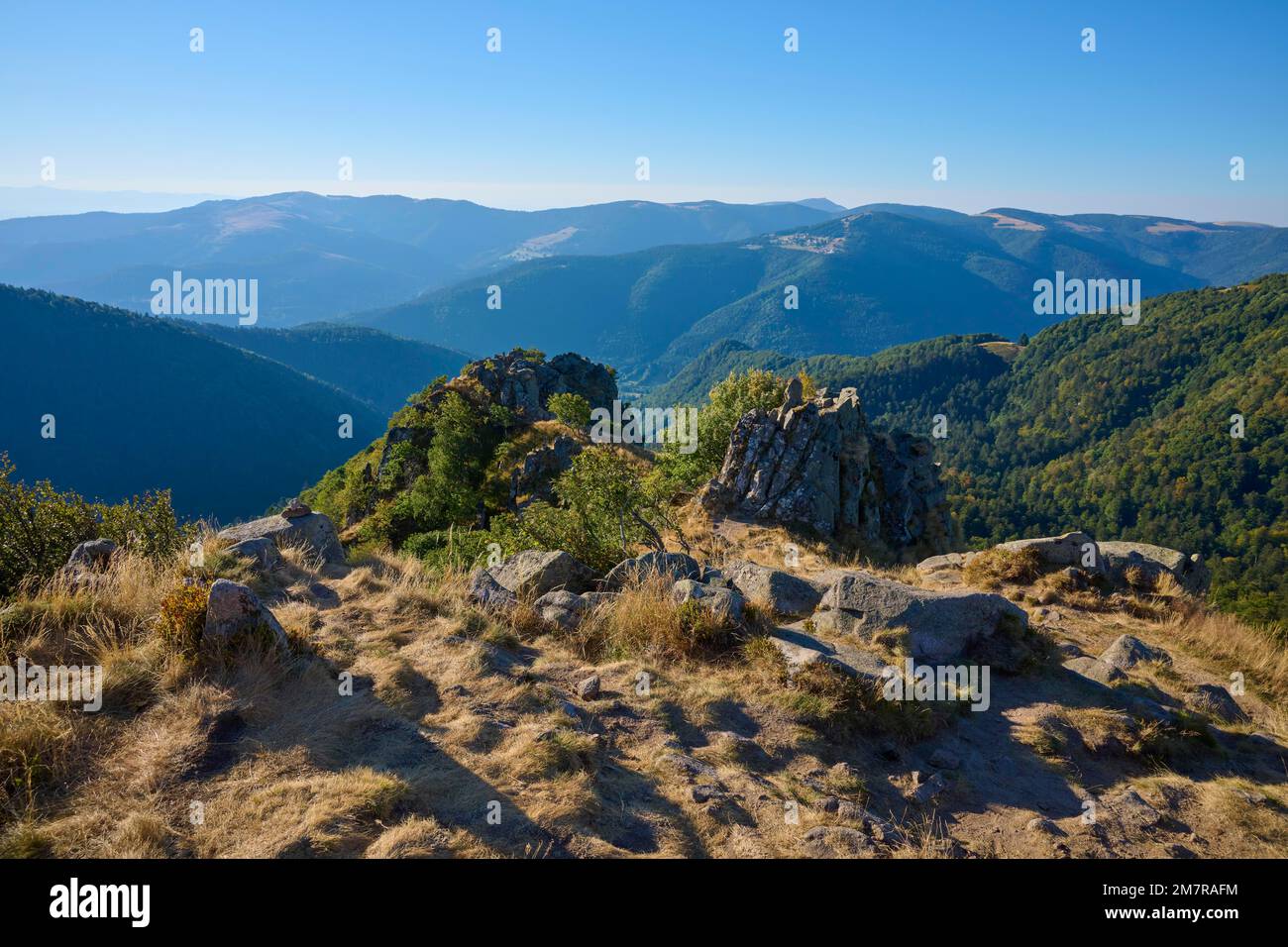 Mountain range, Bergkam, Tomorrow, Summer, Hohneck, La Bresse, Vosges ...
