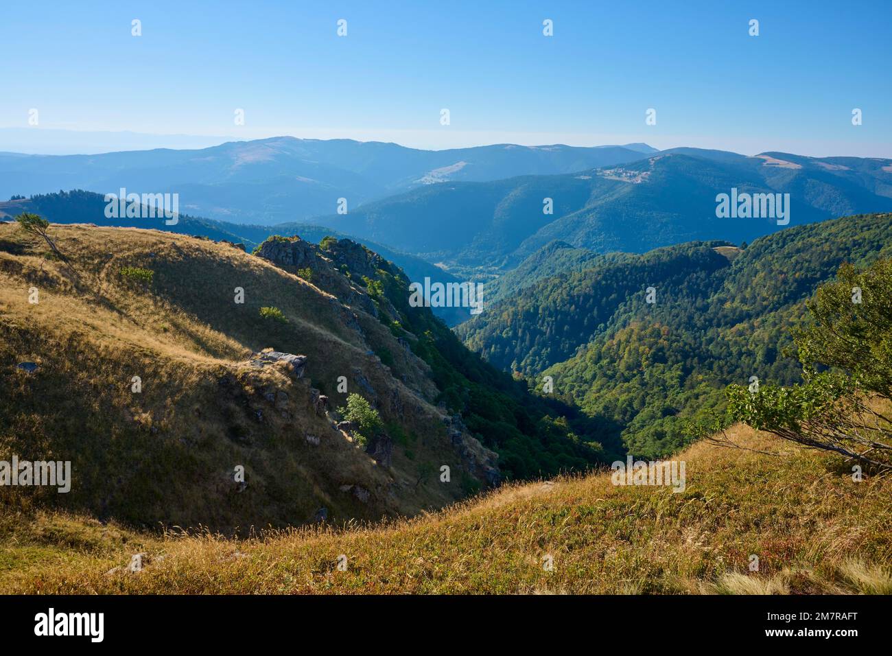 Mountain range, Bergkam, Summer, Hohneck, La Bresse, Vosges, Alsace ...