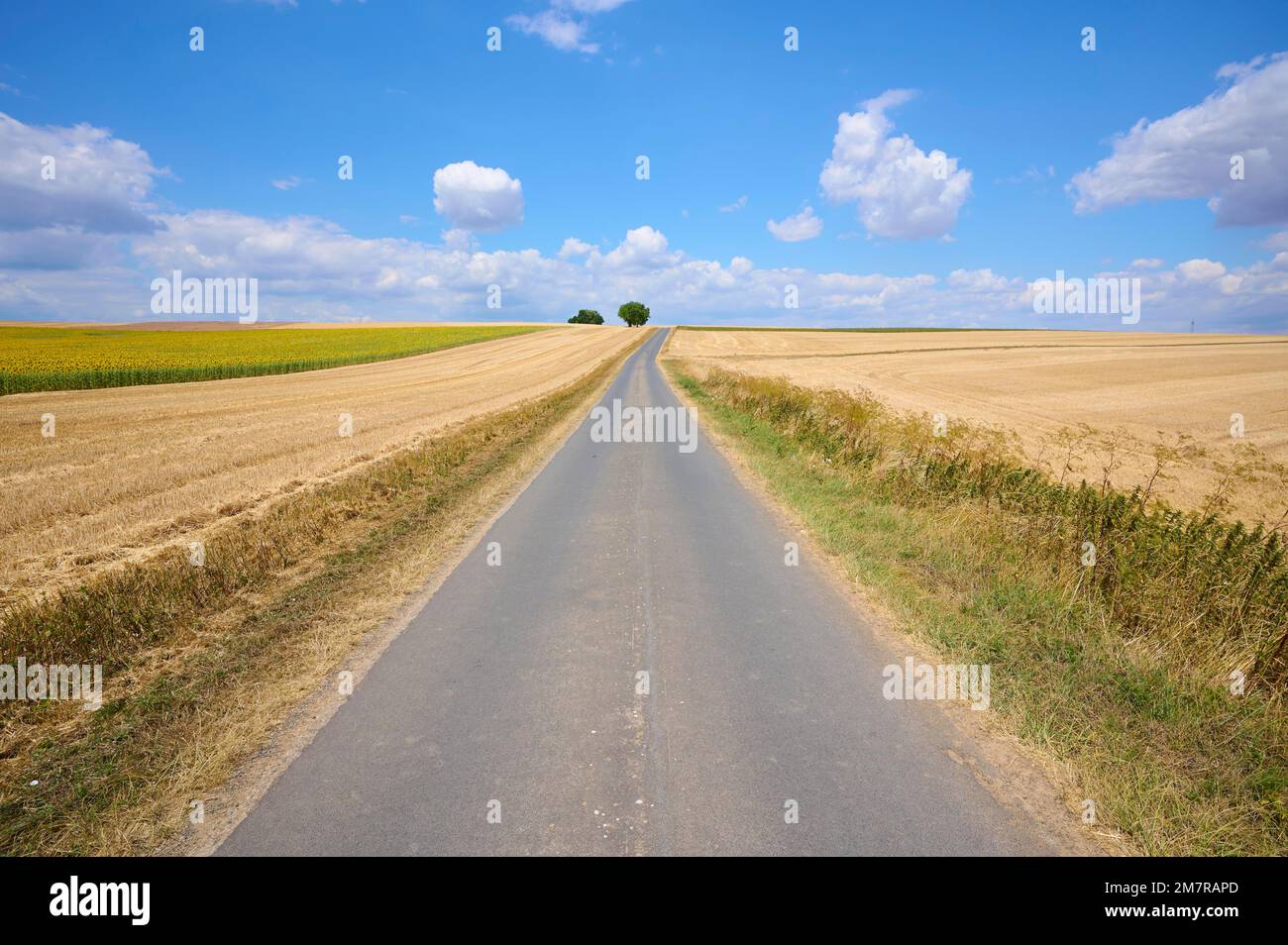 Field road in landscape hi-res stock photography and images - Alamy
