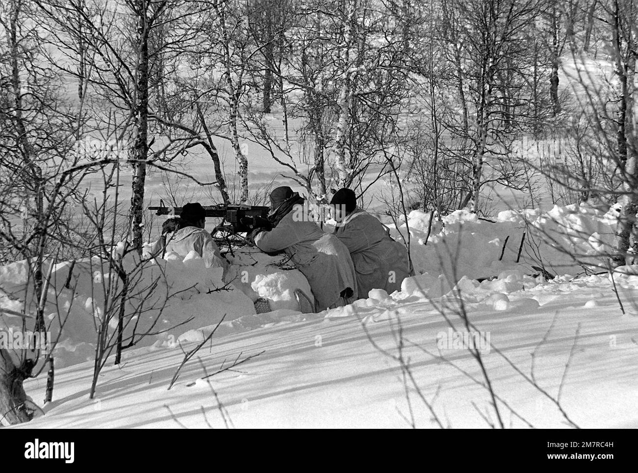 Three members of Co. B, 1ST Bn., 6th Marines, man an M-60A1 machine gun ...