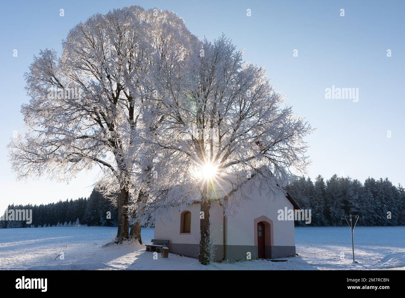 Chapel in front of tree in frost, sunrays, snow, frost, winter, forest ...