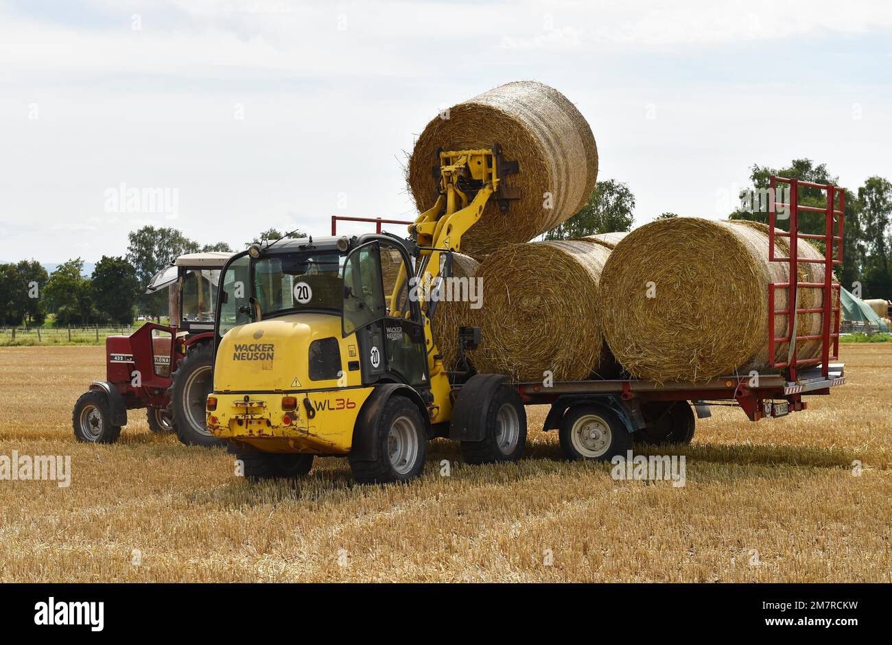 Round bales are loaded onto trailers with a wheel loader, Hesse ...