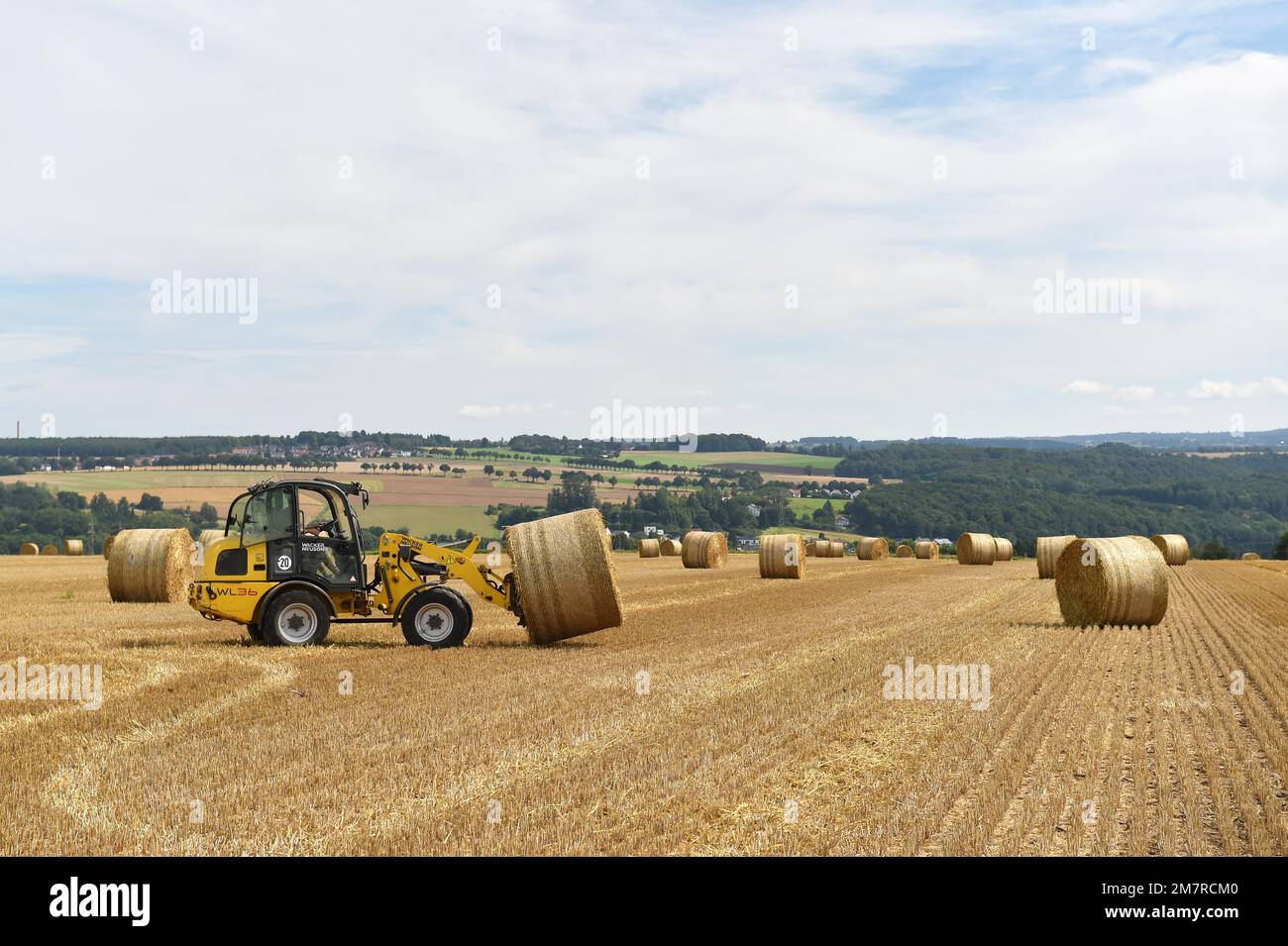 Round bales are loaded with a wheel loader, Hesse, Germany Stock Photo ...