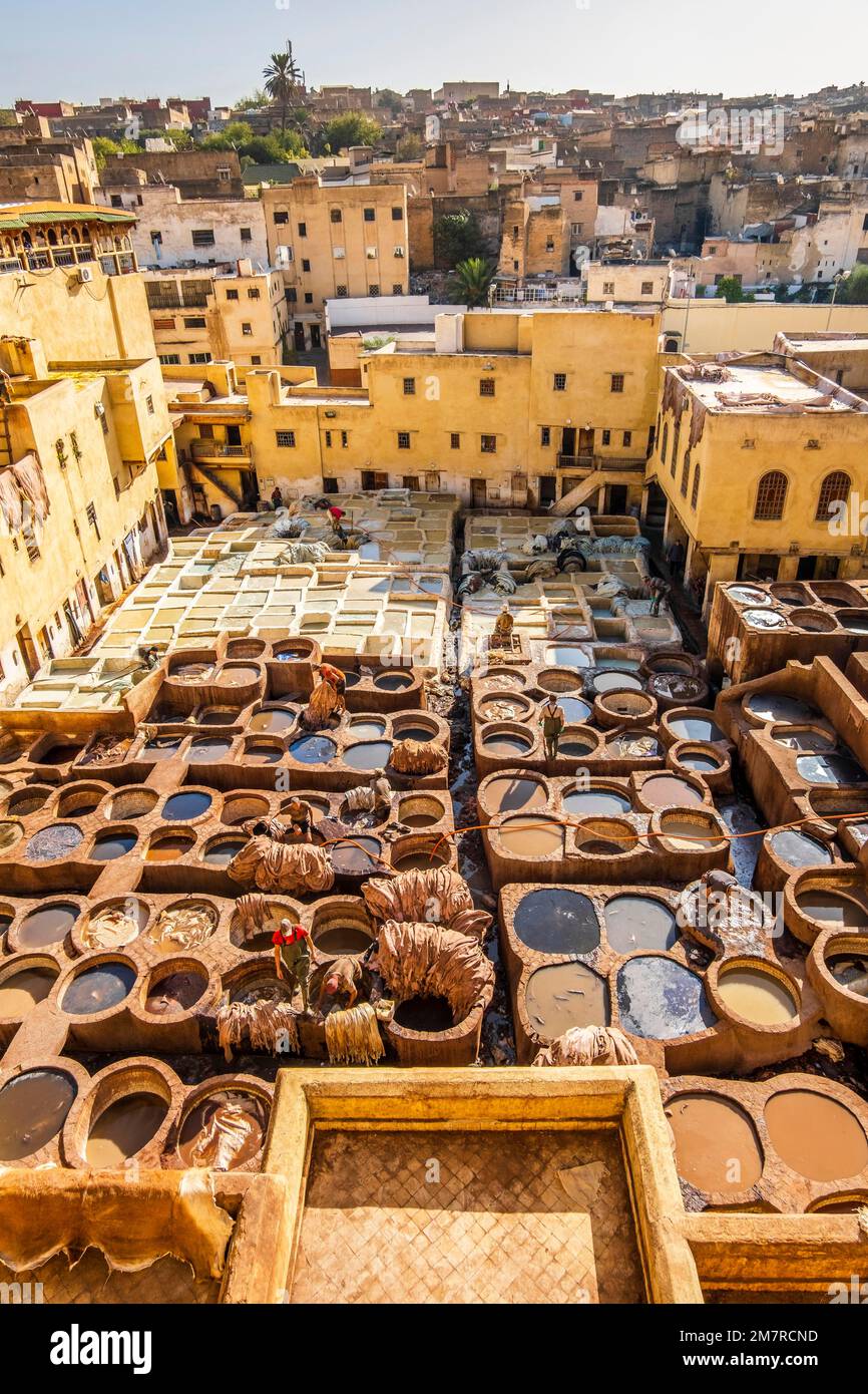 Famous skin tannery in Fes, Morocco, North Africa Stock Photo - Alamy