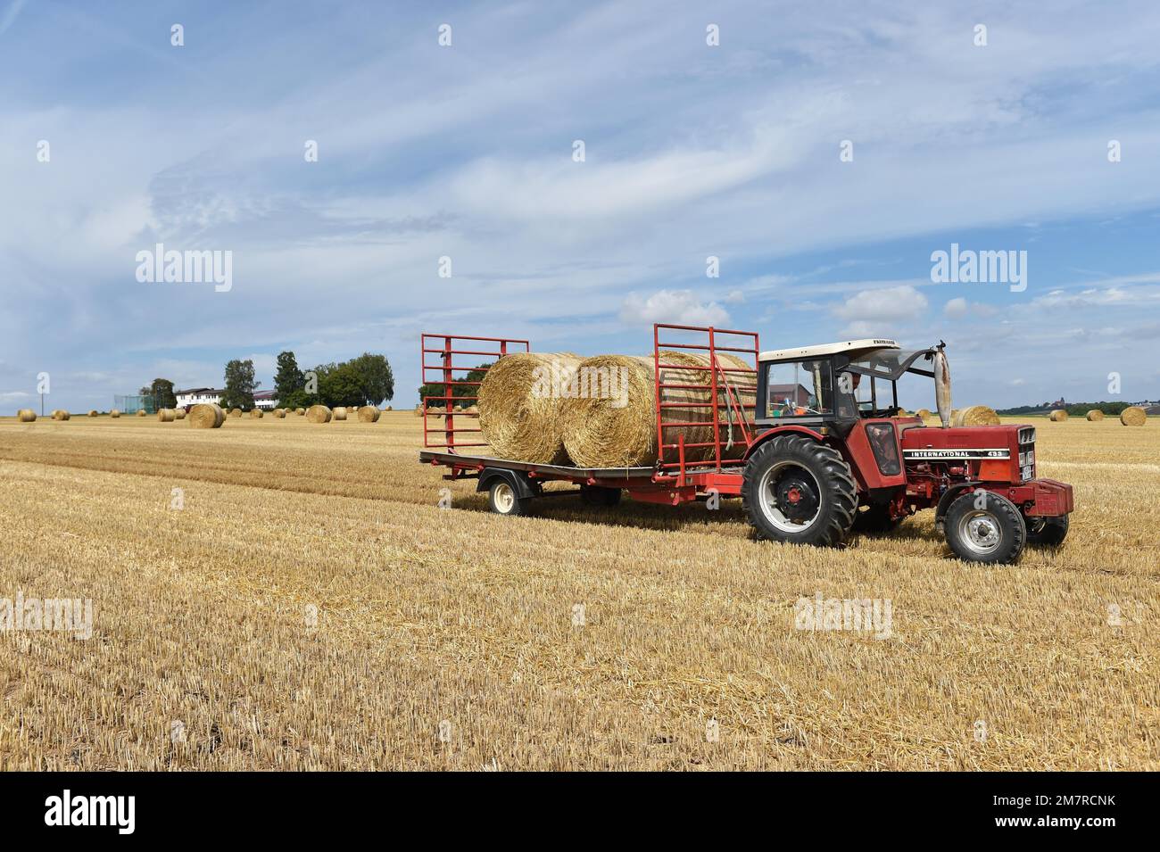 Round bales are loaded onto tractor and trailer with wheel loader ...