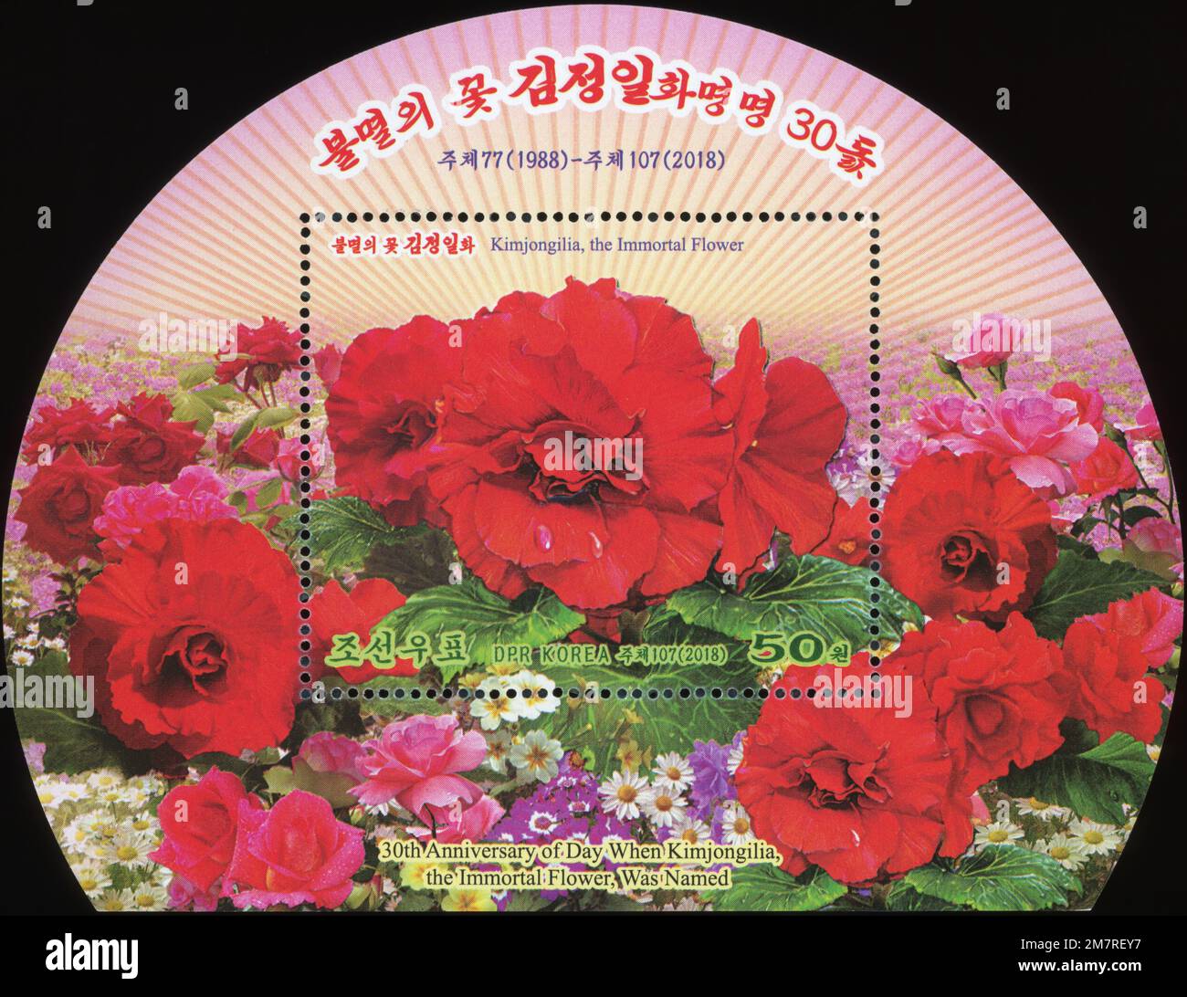 2018 North Korea stamp. 30th Anniversary of Day When Kimjongilia, the ...
