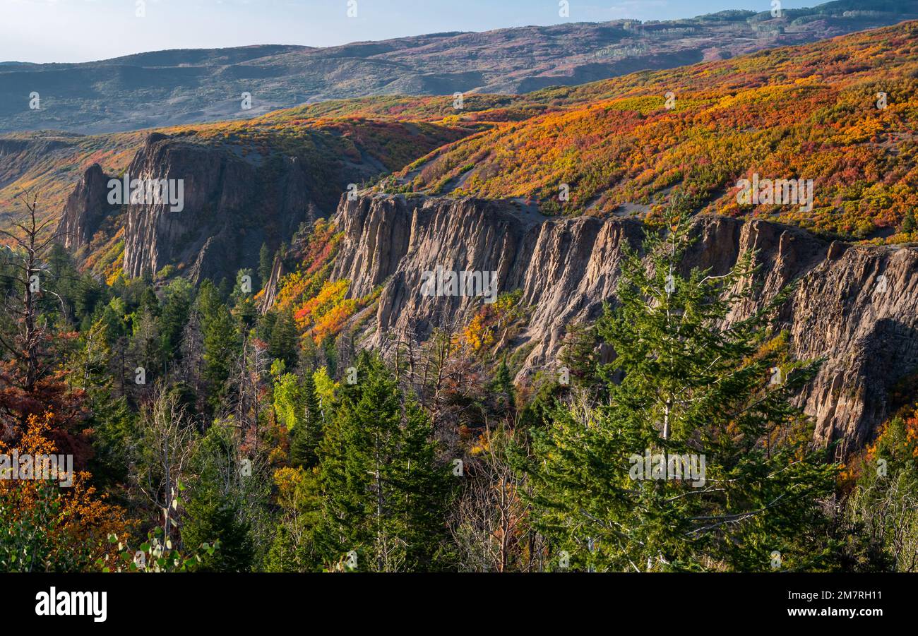 The beautiful fall colors of western Colorado, near Ridgway on a late ...