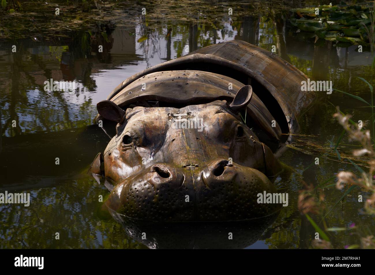 Les Animaux de la Place - Hippo - La Roche sur Yon, Vendee, France ...