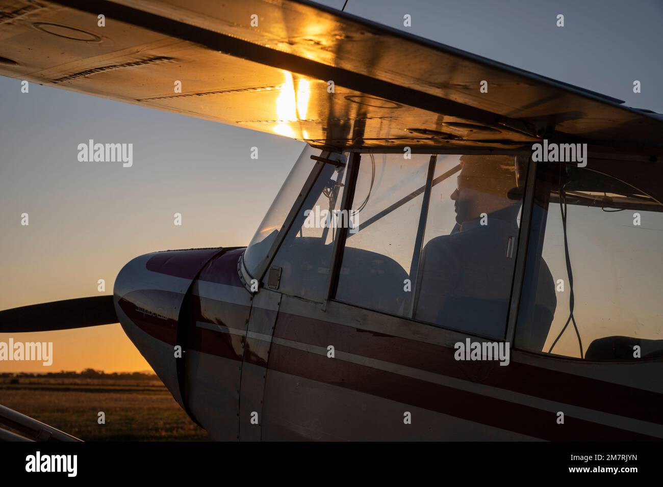 A young male pilot with a Piper Super Cub Stock Photo - Alamy
