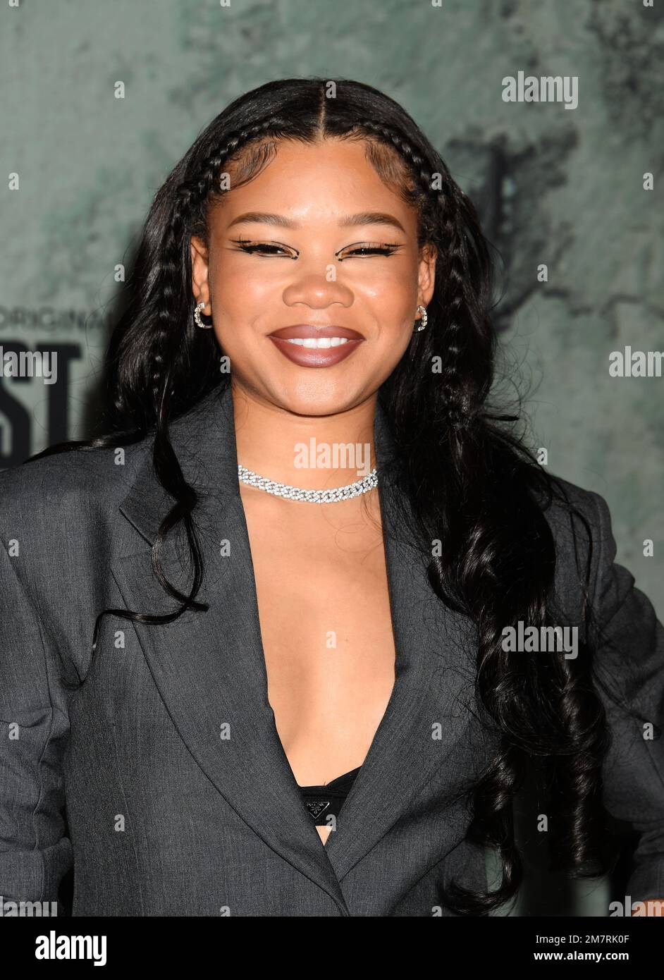Los Angeles, California, USA. 09th Jan, 2023. Storm Reid attends the Los Angeles Premiere of HBO ...